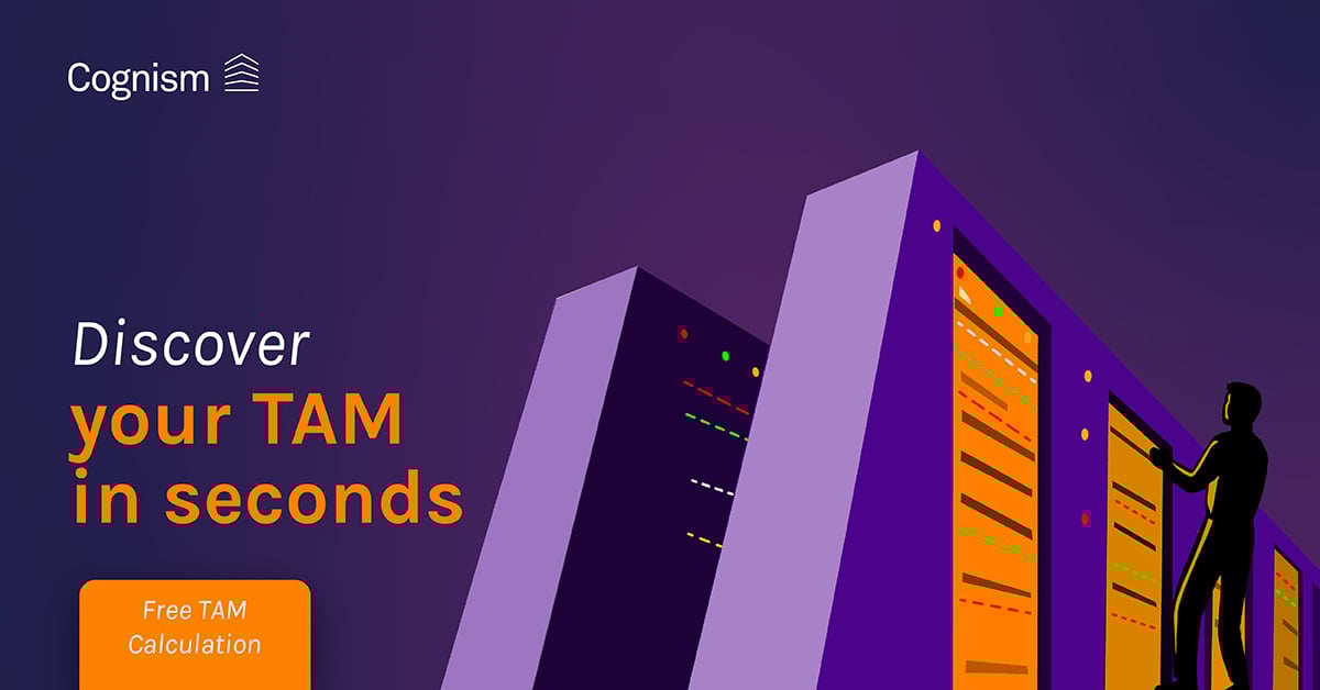 What is TAM and how to calculate it