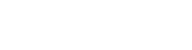 Customer Advocacy Programme